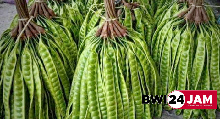 Harga Seikat Petai di Pasar Genteng Banyuwangi Bersaing dengan Daging ...
